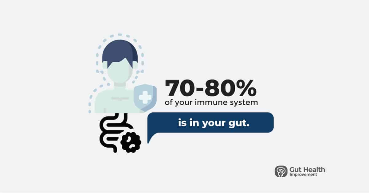 20+ Gut Health Statistics & Market Size (2026)