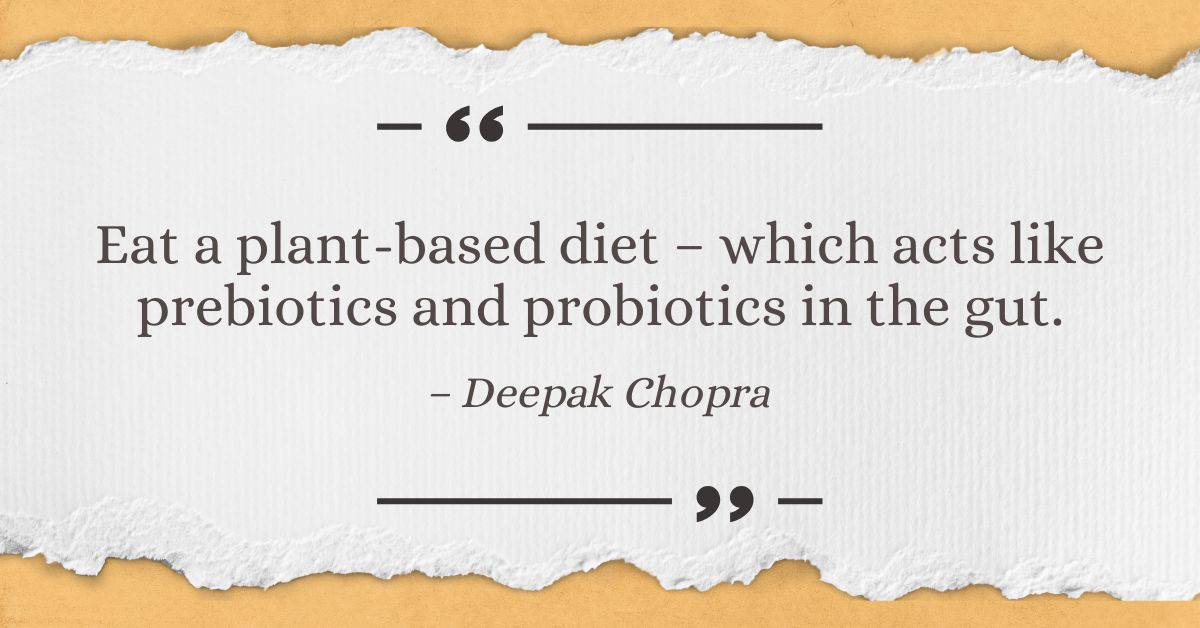 19 Gut Health Quotes & Sayings 2025