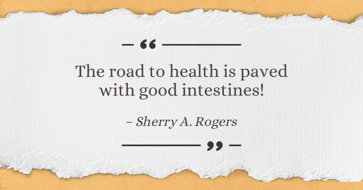 19 Gut Health Quotes & Sayings 2025