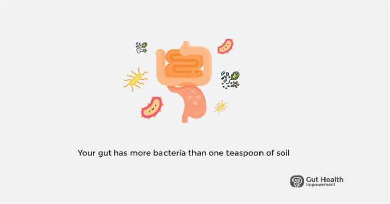 20+ Gut Health Statistics & Market Size (2026)