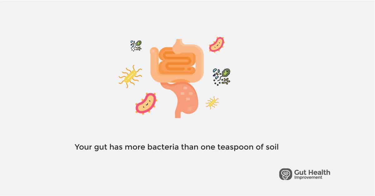 20+ Gut Health Statistics & Market Size (2026)